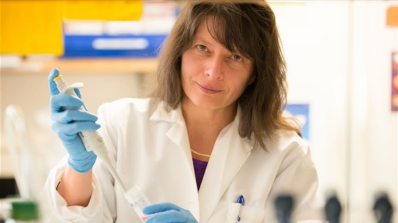 Dana-Farber’s Kornelia Polyak Elected to the National Academy of ...