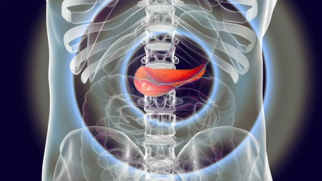 New Research Linking Type 1 Diabetes to Genetic Mutations May Lead to ...