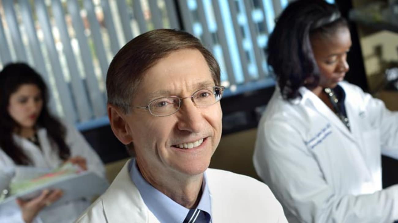 Finding a Way to Attack Fibroids Through Their Extracellular Matrix ...