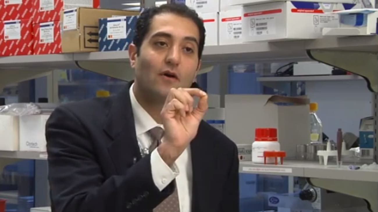 Regenerative Medicine: Mayo Clinic and Collaborators Develop New Tool ...
