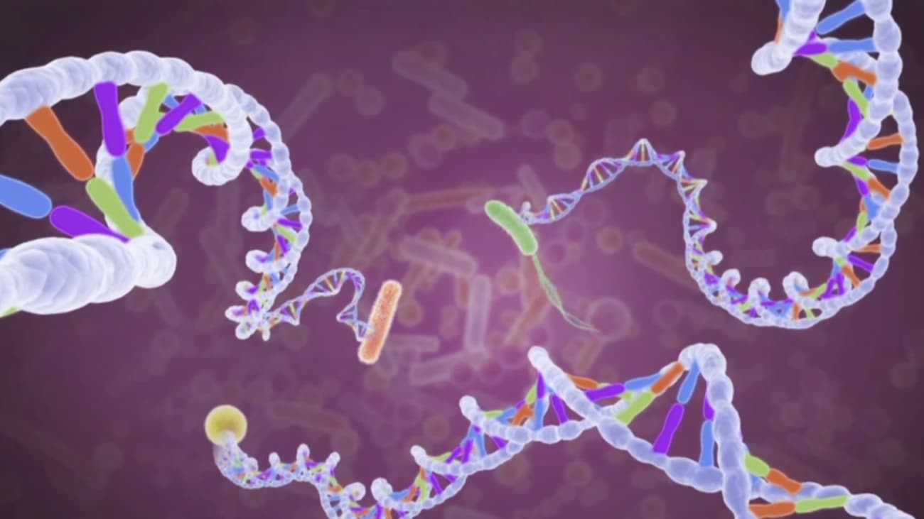 Fecal microbiota transplantation (FMT) - Mayo Clinic