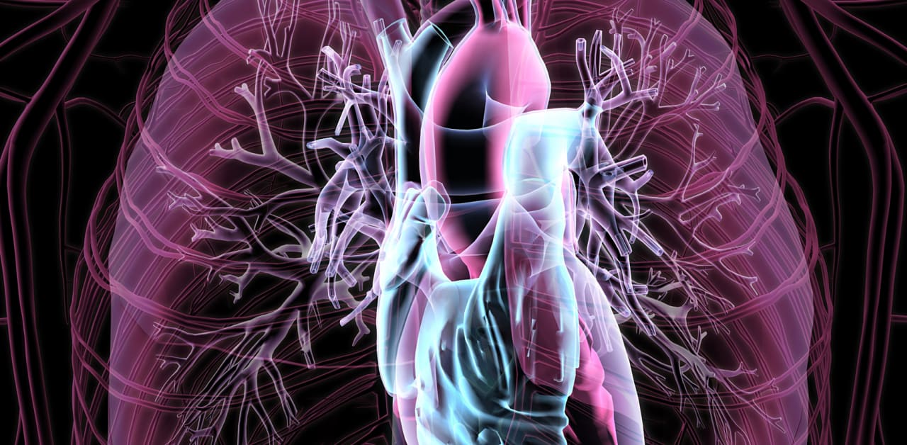 New Insights into Pulmonary Artery Stiffness with Age | Conexiant