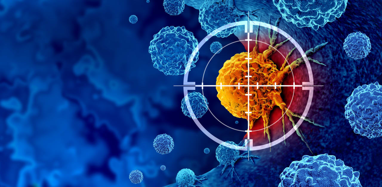 76 Potential Mammary Carcinogens Found in Food Packaging | Conexiant