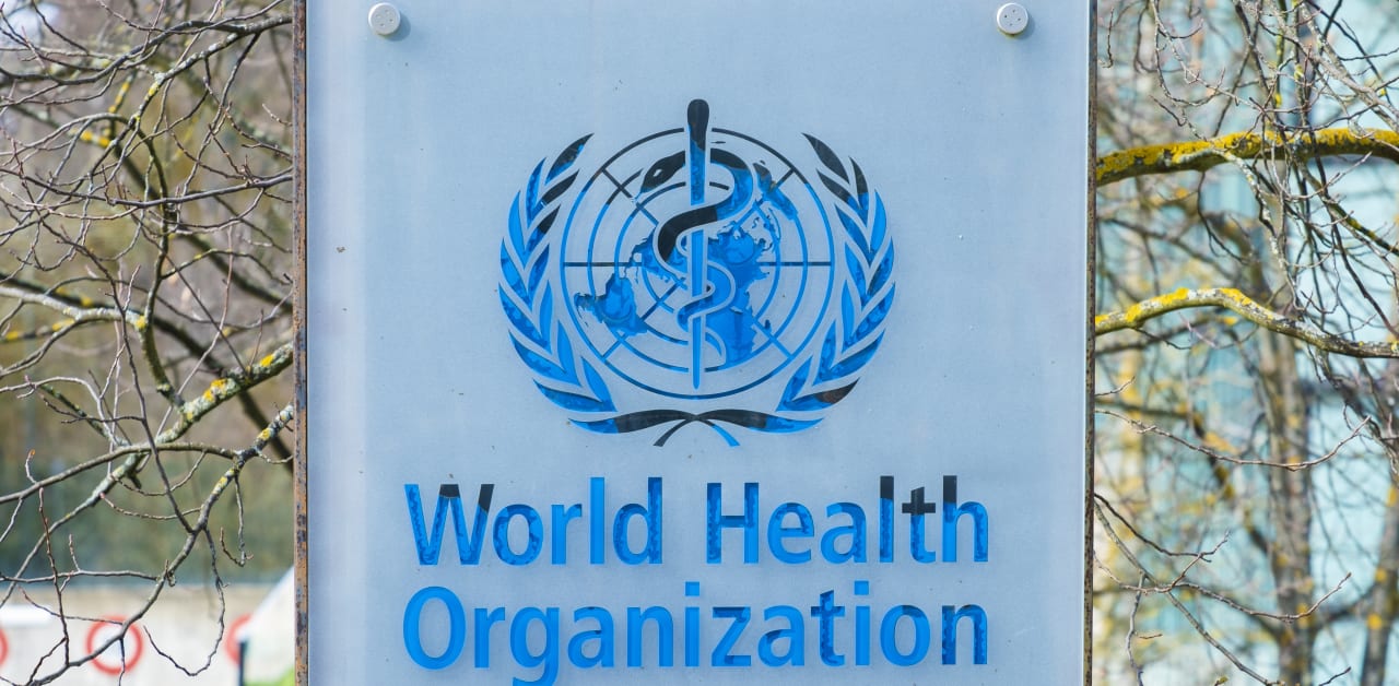 WHO Issues Conditional GLP-1 Obesity Guideline | Conexiant