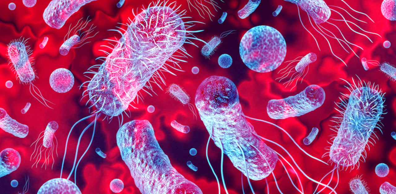 Albumin Therapy Tested in Septic Shock | Conexiant