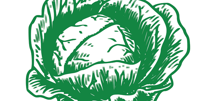 The Medicine Maker | Plant Protein Potential