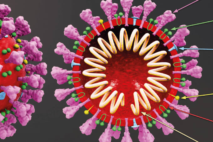 The Medicine Maker | Battling the Blood Clots
