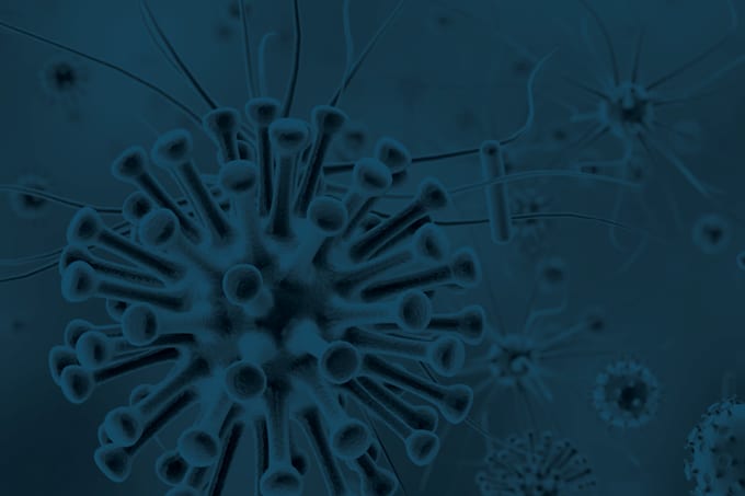 The Pathologist | Balancing Care with Qnostics