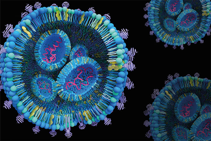 The Analytical Scientist | How siRNA Mixing Shapes Gene Therapy Success