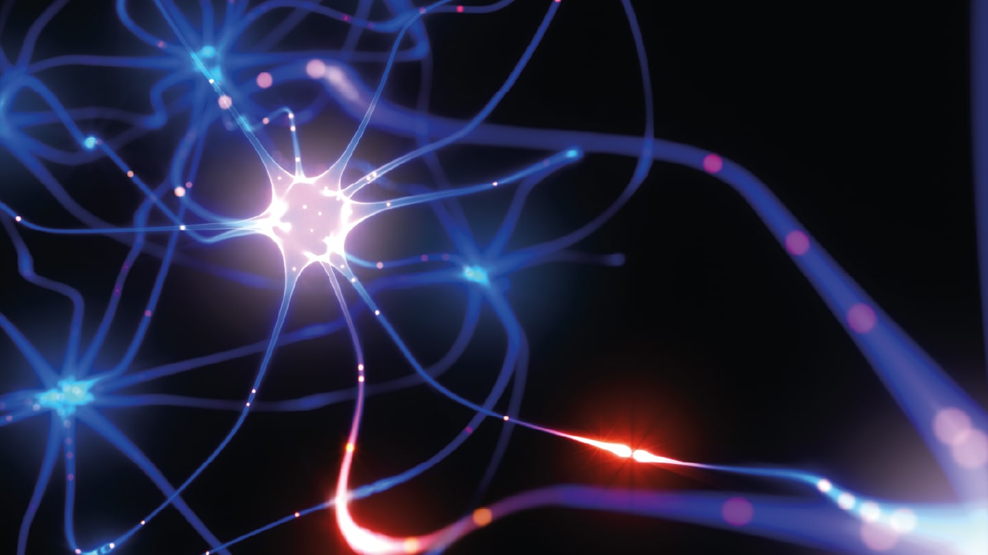 The Analytical Scientist | New Evidence Confirms Neurons Form in Adult ...