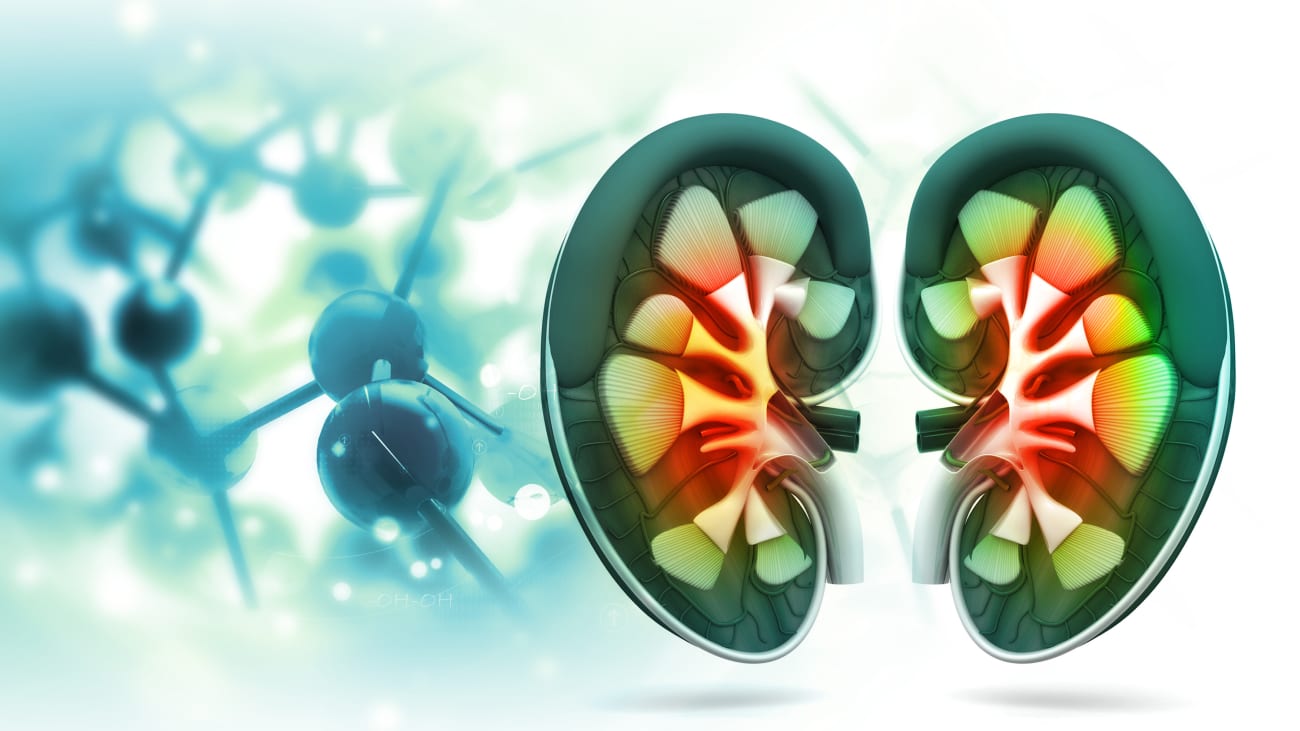 Overview of Kidney Transplantation - BroadcastMed
