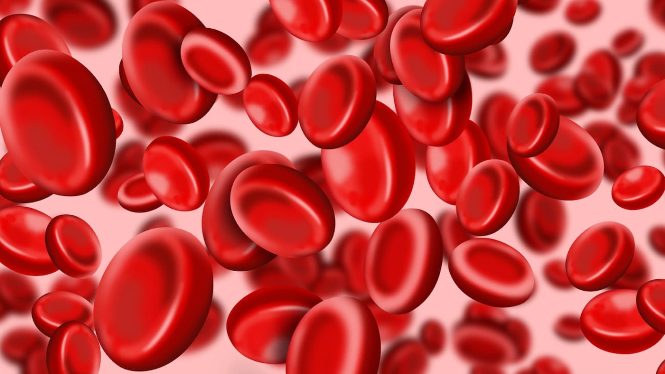 New Directions in the Diagnosis and Treatment of Hematologic Cancers ...