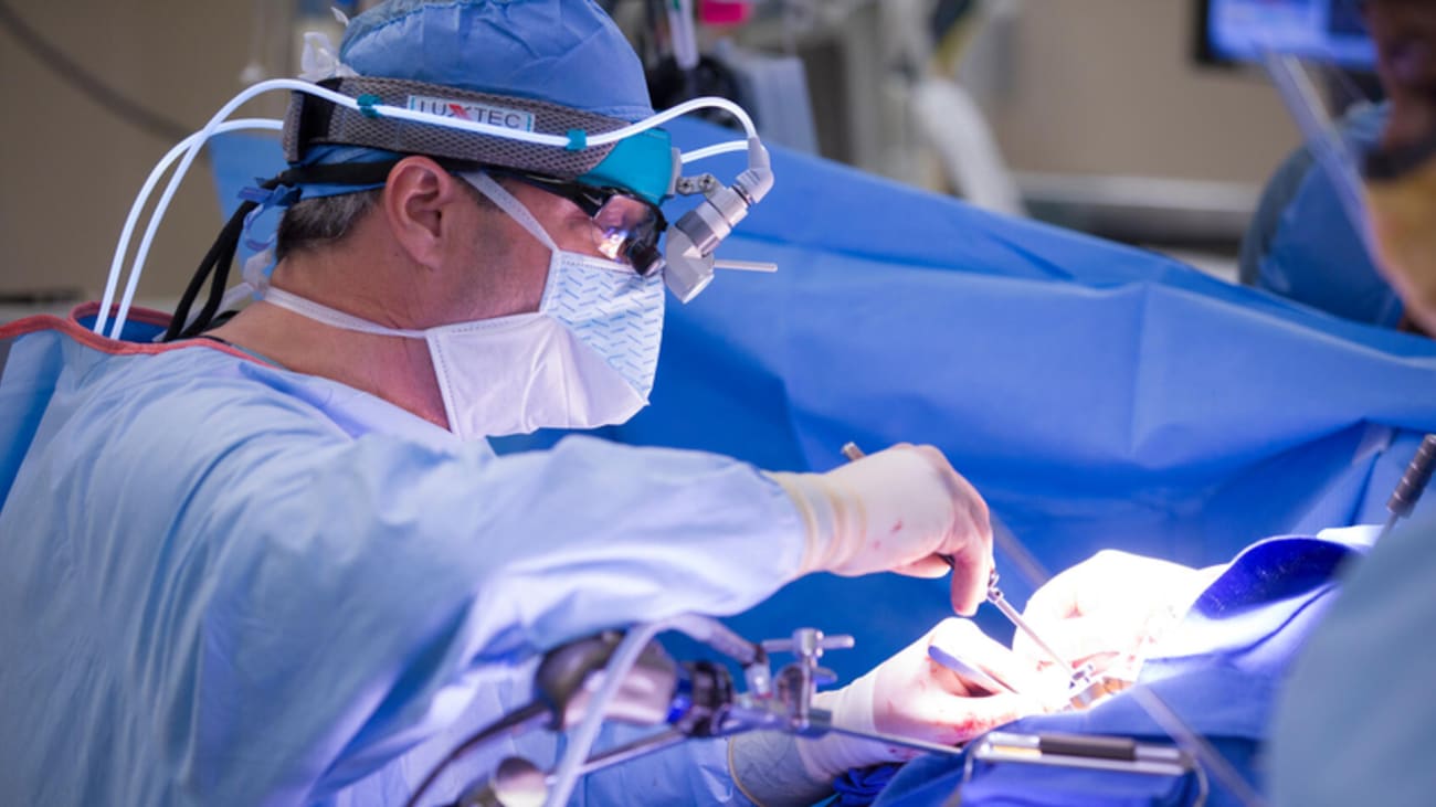 Outcomes and risk factors of late failure of valve-sparing aortic root ...