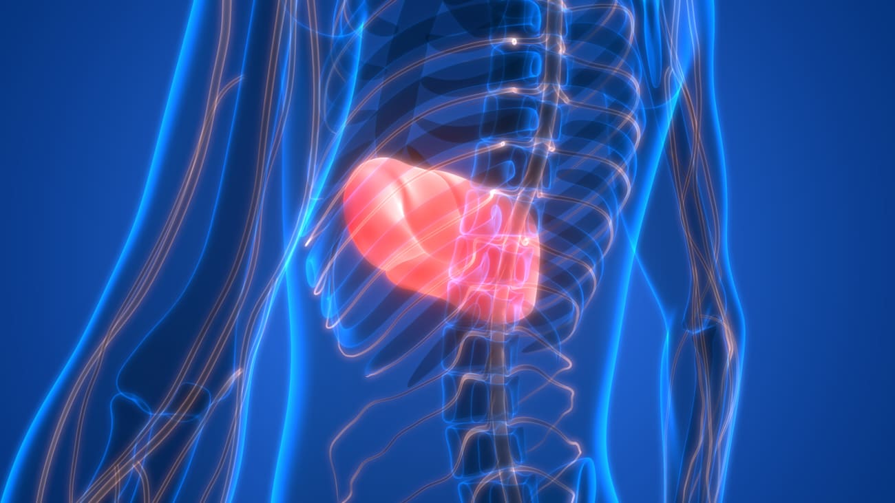 Answering any question you've ever had about liver function testing ...