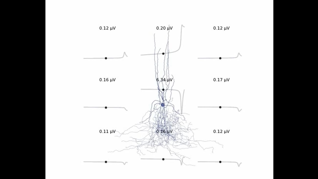 Neuro Animation Loop - Cedars-Sinai Pulse