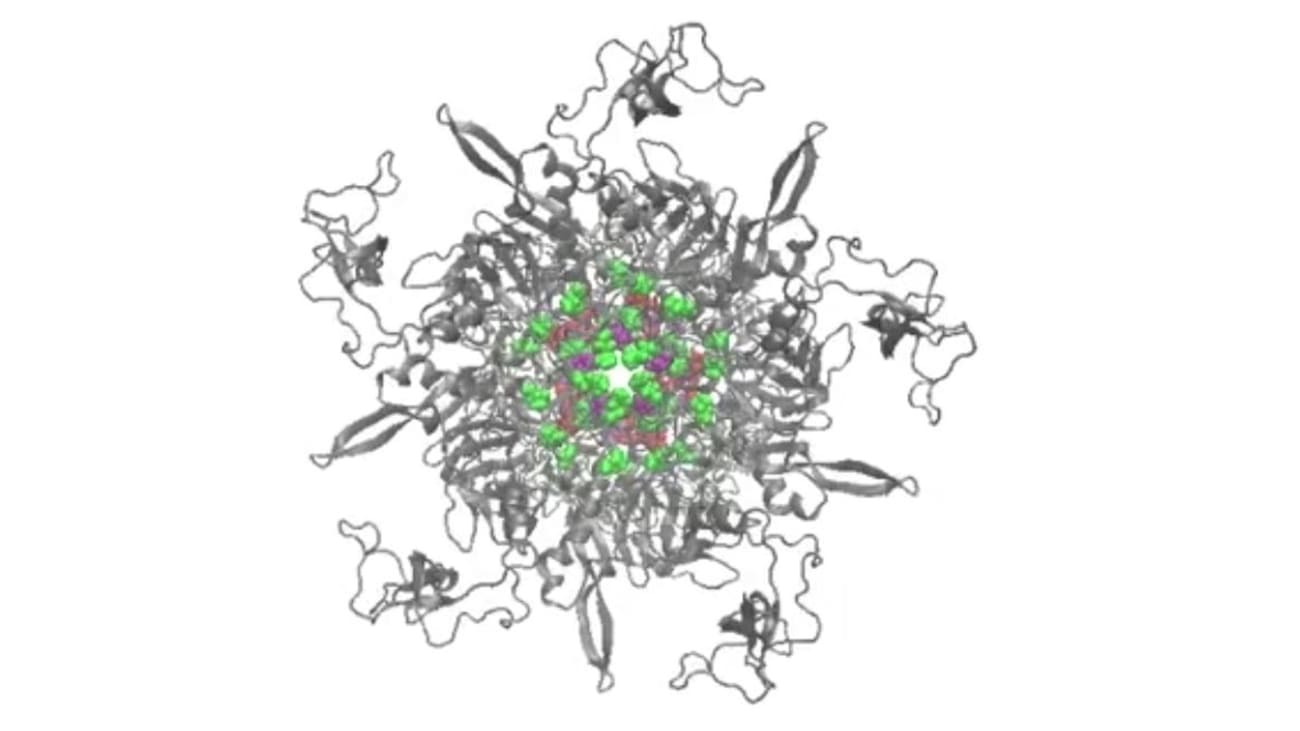 PBK Changes - Cedars-Sinai Pulse