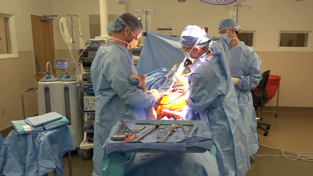 Ortho Oncology - Proximal Femoral Replacement - Sentara