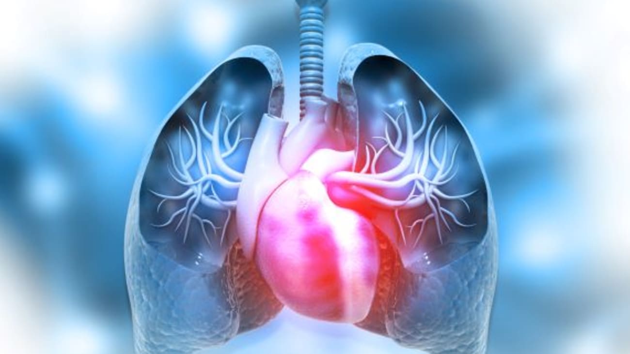 Heart Lung Interactions and Positive Pressure Ventilation - Sentara