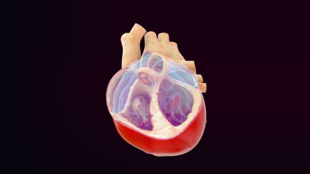 Transcatheter Tricuspid Valve Therapies - Sentara