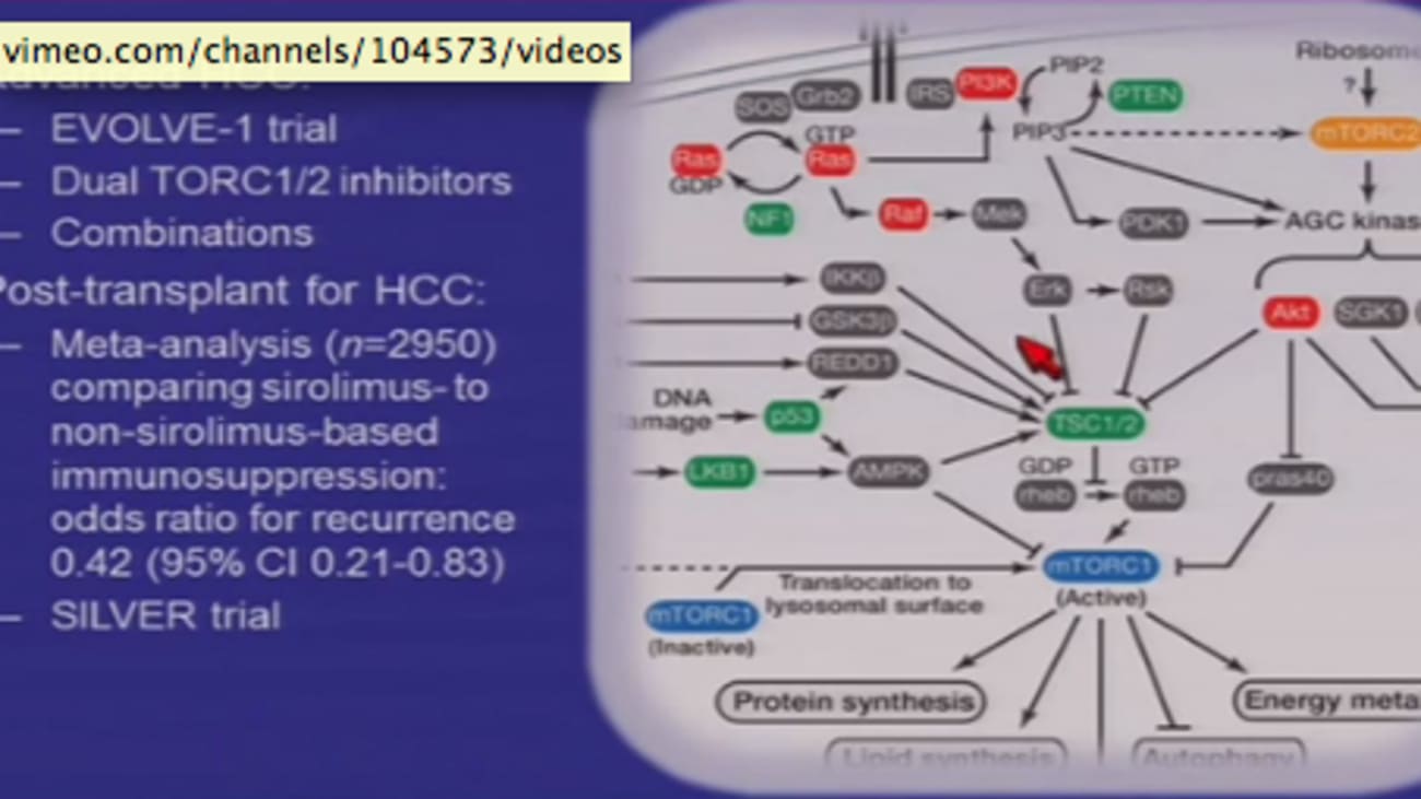 Systemic Therapy for Advanced Hepatocellular Carcinoma Angela Alistar ...