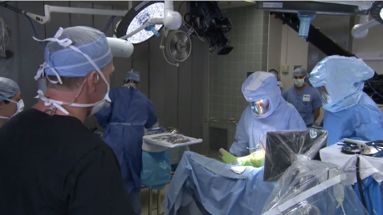 JOURNEY™ UNI Knee Featuring Blue Belt's robotics-assisted Navio ...