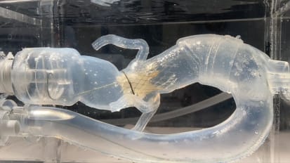 Deepak Talreja, M.D. - Sentara