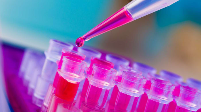 Treatment Guideline: Adjuvant Ribociclib for Early-Stage Hormone ...