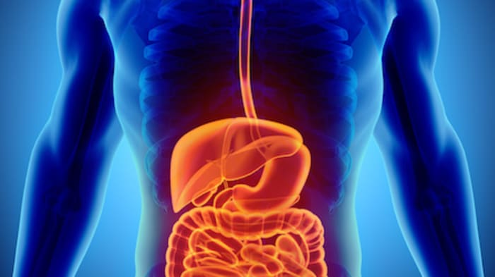 Digestive Health Care - BroadcastMed