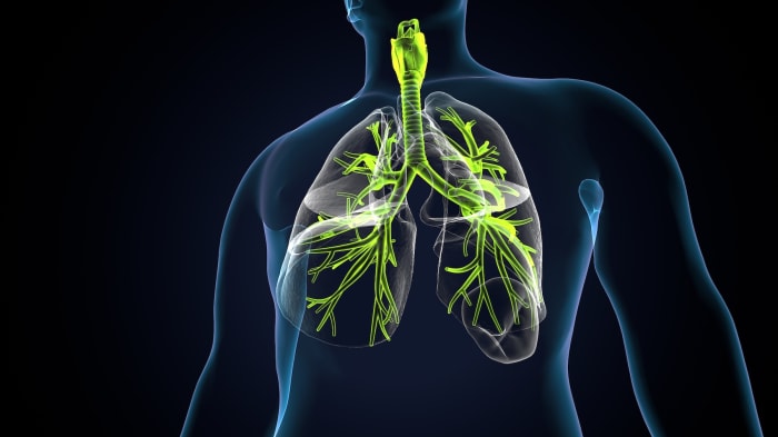Recognizing and Treating Tracheobronchomalacia - Temple Health