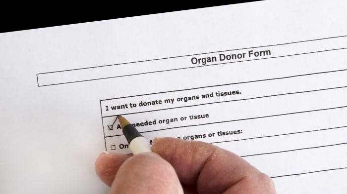 Helping Recipients Find Donors: What Does That Mean and How Can It Be ...