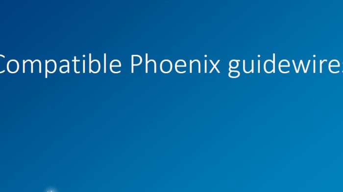 Guidewires Compatible for Use with the Phoenix Atherectomy System ...