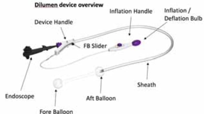 Flexible Endoscopic Double Balloon Platform 2018 - Lumendi