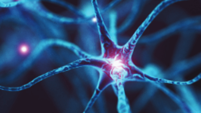 Acute Stroke Transfer Guide for Providers - UCSF MedConnection