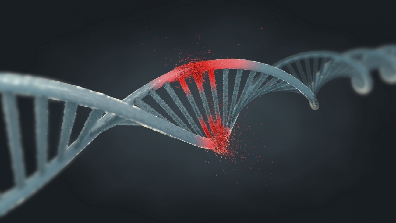 Growth Hormone in Colon Found to Play Role in Aging Process - Cedars ...