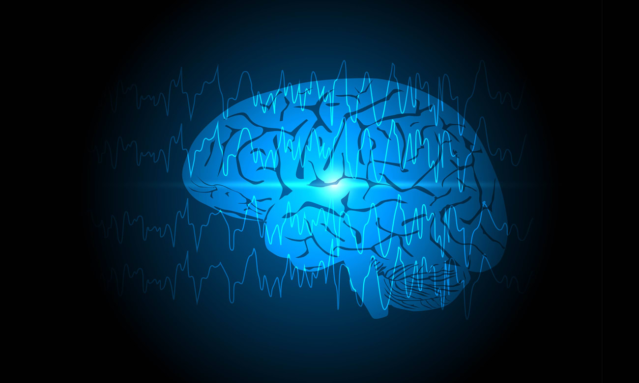 Identifying the Seizure Onset Zone Through Single-Pulse Electrical ...