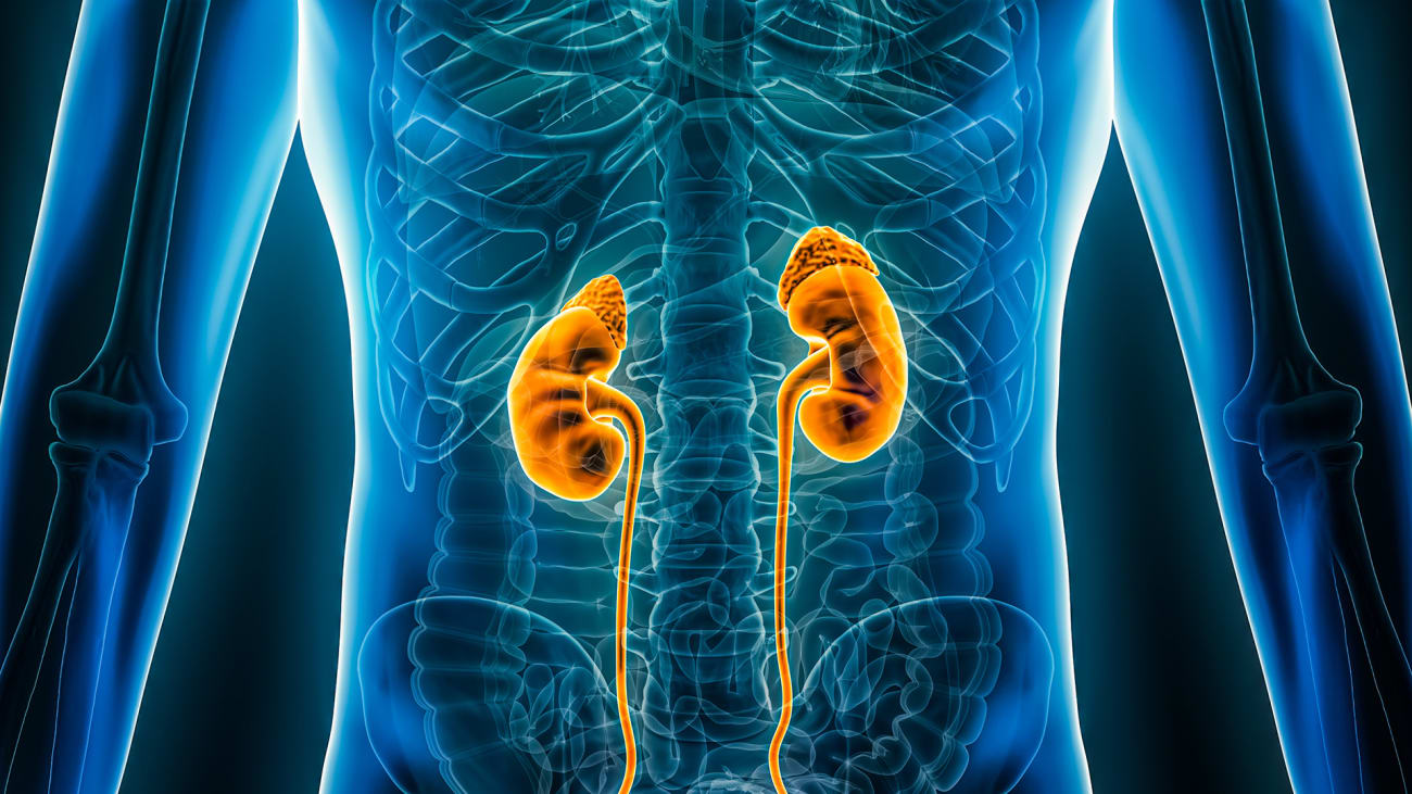 Acute Kidney Injury is not Associated with Worsening Kidney Function in ...