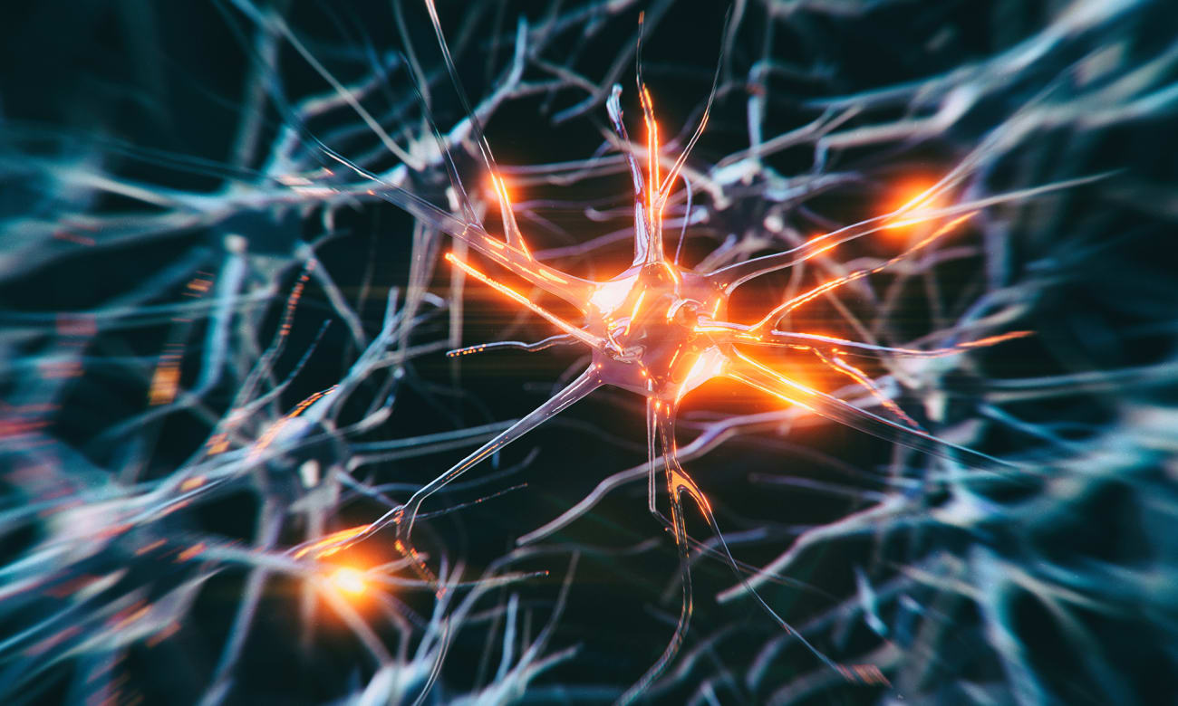 Caring for Epilepsy Patients Across Life’s Continuum - Johns Hopkins ...