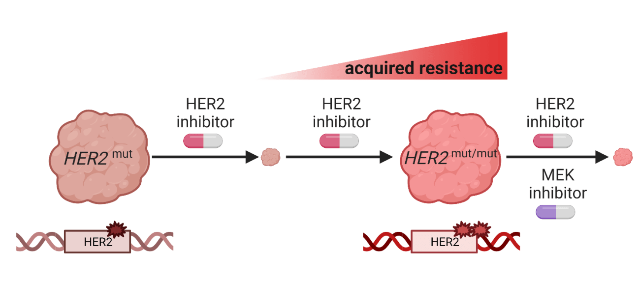 New Drug Combo Could Treat Some Resistant Breast Cancers - UT ...