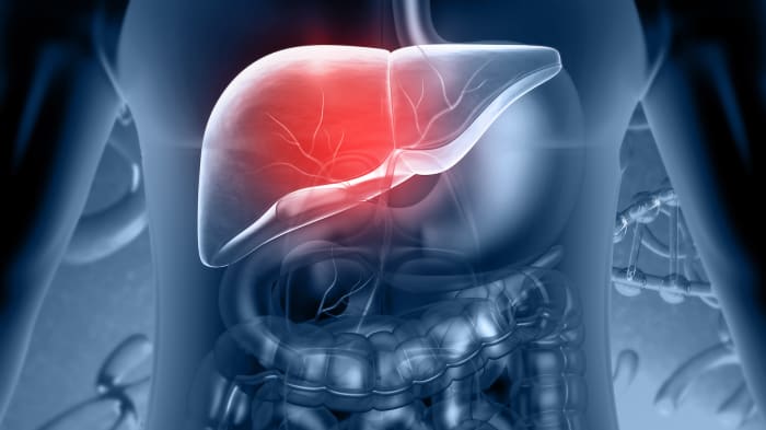 Autoimmune Liver Disease, Surgical Resection, and Liver Transplant for ...