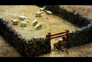 The Doors of Scripture | Bible Study Courses for Life