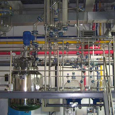 Buchiglas - Production scale reactor systems