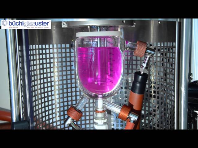 Buchiglas - bpc 2 Hydrogenator - turnkey solution