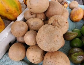 My food & adventure in Guyana | bunch