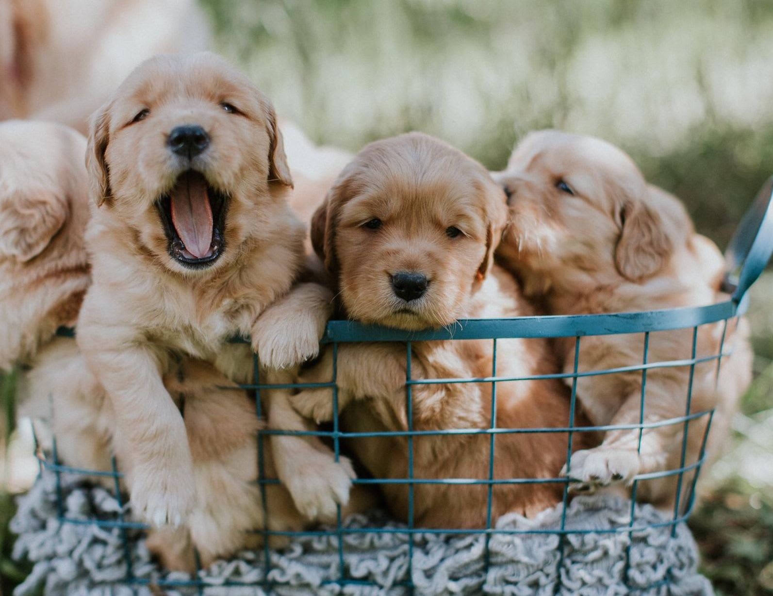 Best of the bunch in November | bunch