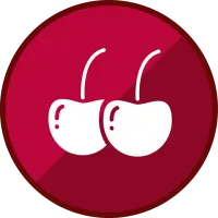 Woolworths Frozen Pitted Cherries 500g | bunch