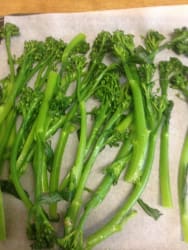Freezing Broccolini | bunch