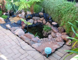 Building a frog pond the easy & cheap way | bunch