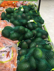 THE ODD BUNCH CONCEPT | bunch