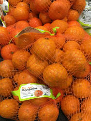 THE ODD BUNCH CONCEPT | bunch