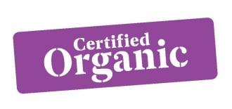 ‘Organic’ product development process | bunch